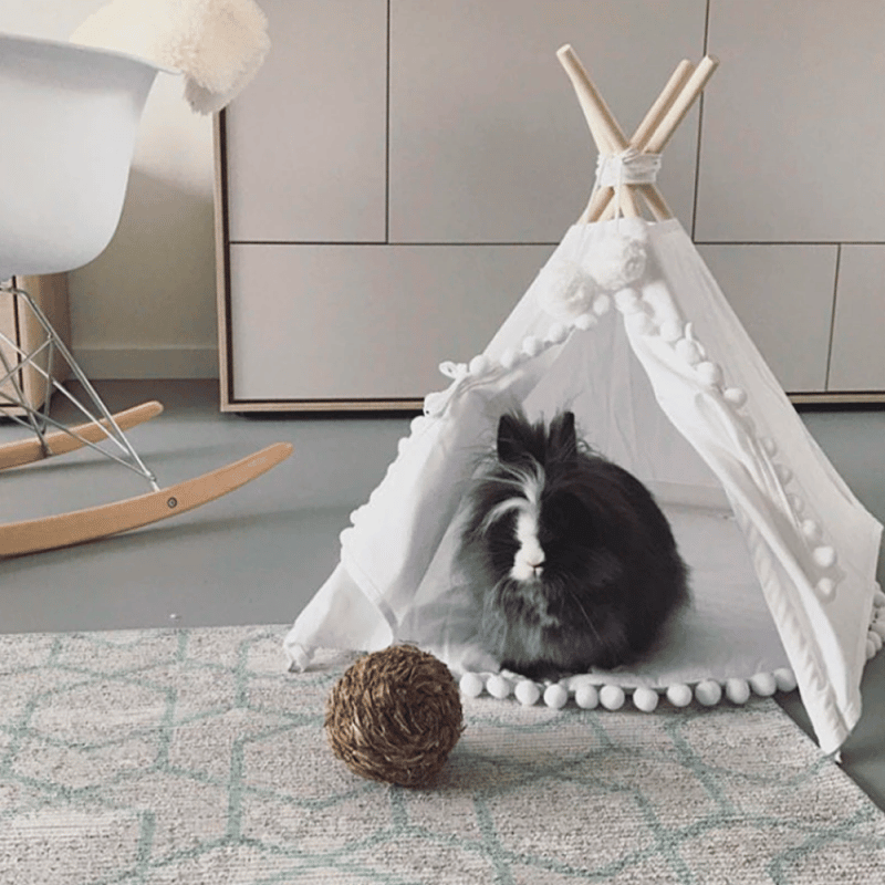 Bunny Teepee - Bunny House - Bunny Supply - Bunny Store - Flop Bunny