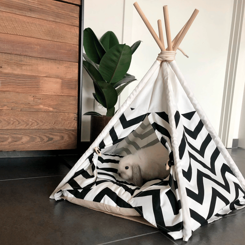 Bunny Teepee - Bunny House - Bunny Supply - Bunny Store - Flop Bunny