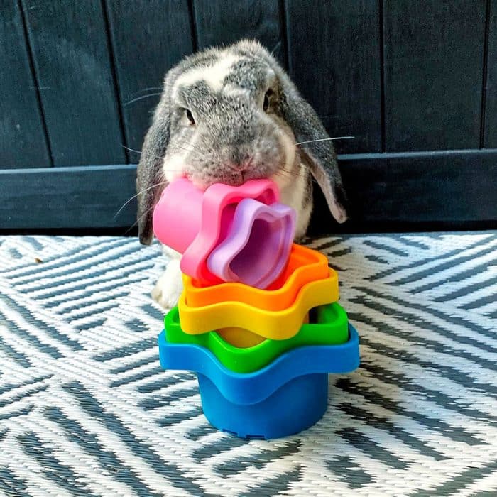 Rabbit stacking cups - Rabbit Digging Toy - UK Toy - Flop Bunny